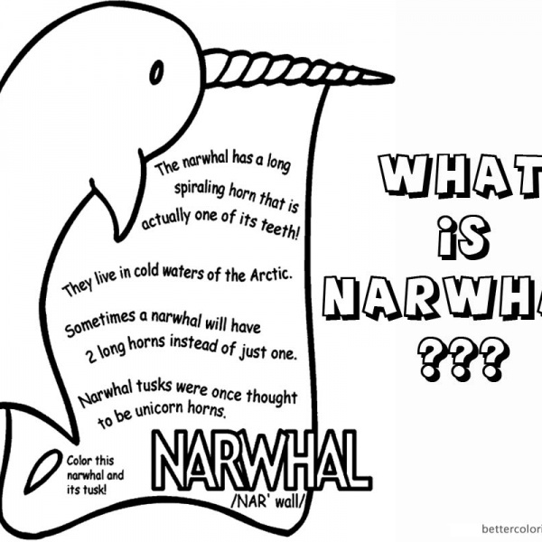 Narwhal Coloring Pages - Free Printable Coloring Pages