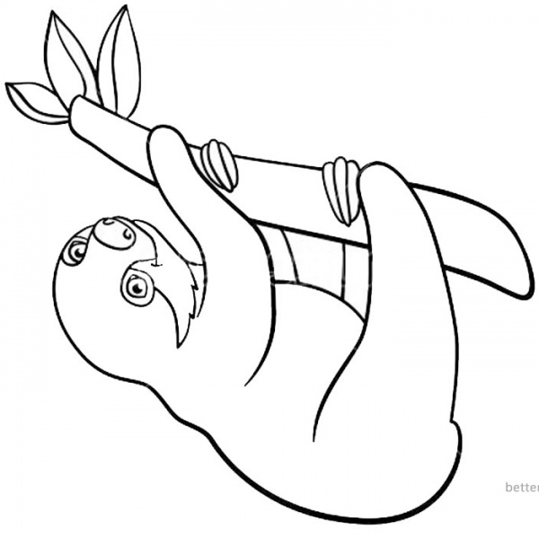 Sloth Coloring Pages - Free Printable Coloring Pages