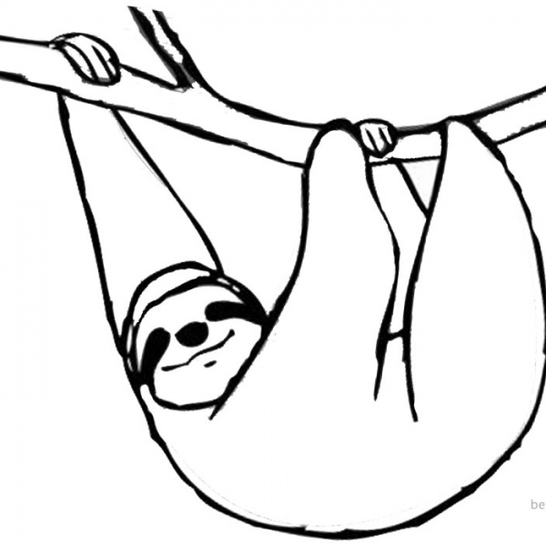 Sloth Coloring Pages Three Toed Sloth in A Bucket - Free Printable ...