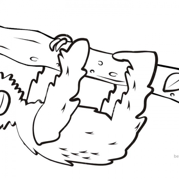 Realistic Three Toed Sloth Coloring Pages - Free Printable Coloring Pages