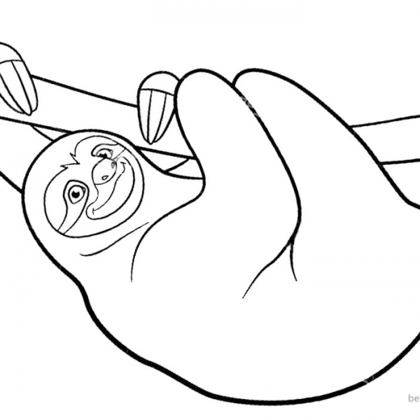 Sloth Coloring Pages - Free Printable Coloring Pages