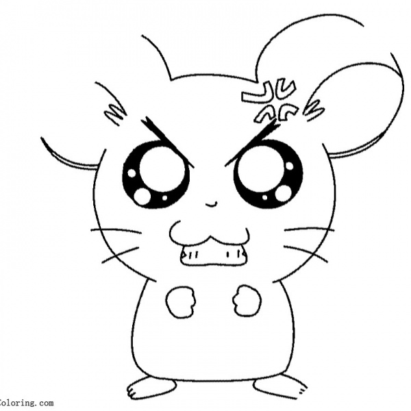 Hamster Coloring Pages Realistic Drawing - Free Printable Coloring Pages
