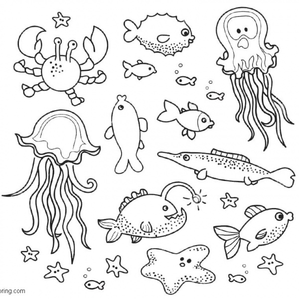 Sea Life Under The Sea Coloring Pages Sea Horse with Bubbles - Free ...