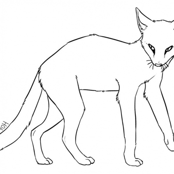 Cat Coloring Pages - Free Printable Coloring Pages