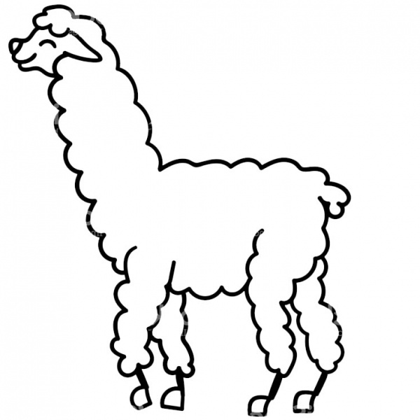 Llama Coloring Pages Cute South America Animal - Free Printable ...