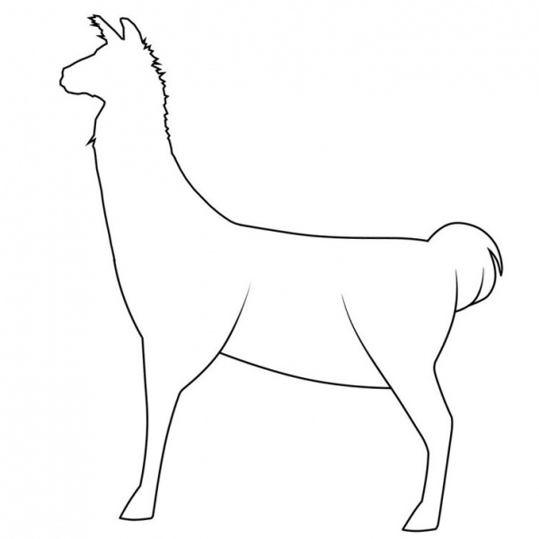 Llama Coloring Pages Cute South America Animal - Free Printable ...