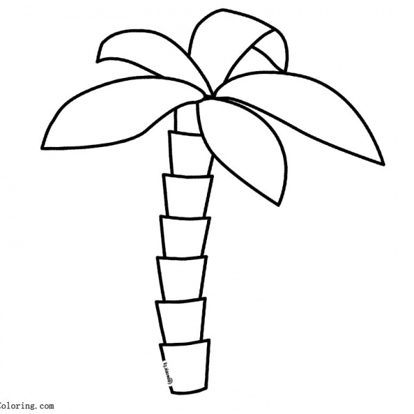 Nature Palm Tree Coloring Pages - Free Printable Coloring Pages