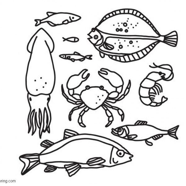 Under The Sea Coloring Pages - Free Printable Coloring Pages