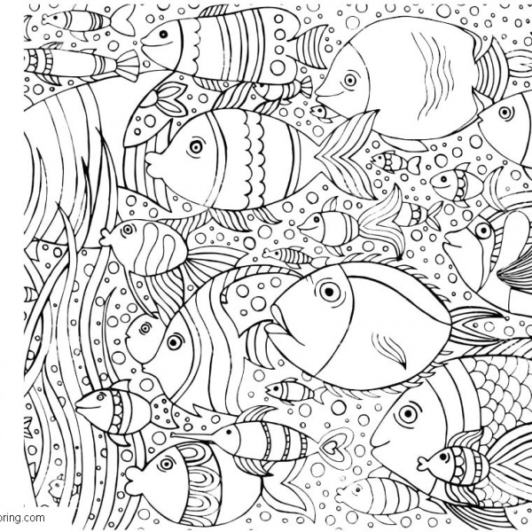 Under The Sea Coloring Pages - Free Printable Coloring Pages
