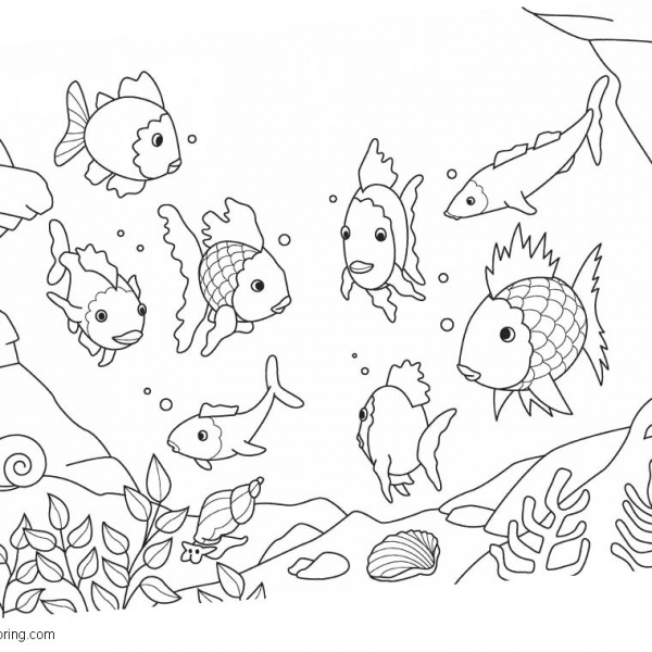 Under The Sea Coloring Pages - Free Printable Coloring Pages