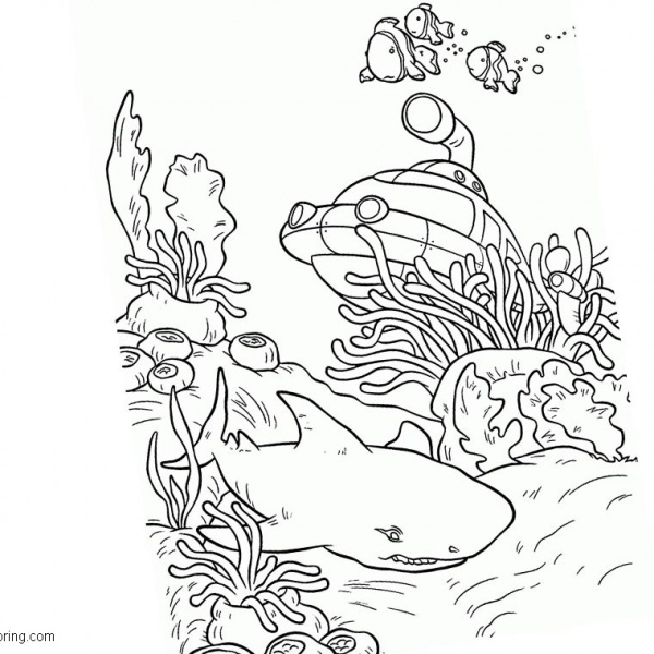 Under The Sea Coloring Pages - Free Printable Coloring Pages