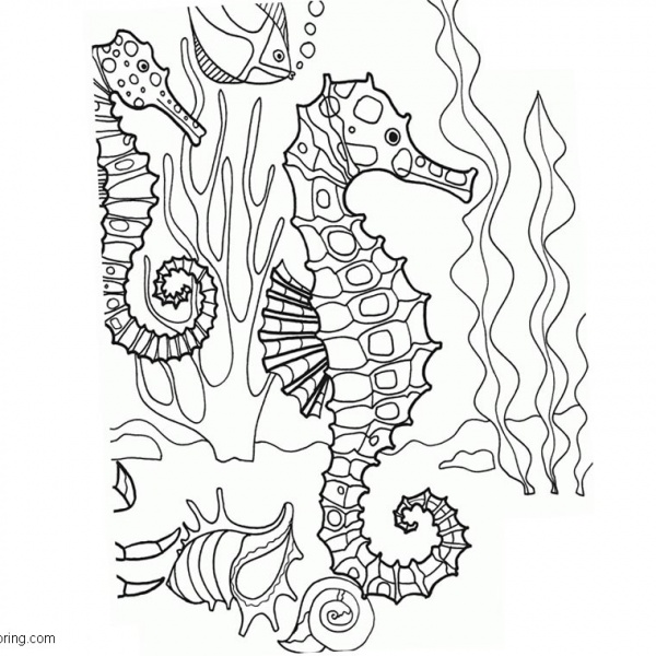 Under The Sea Coloring Pages - Free Printable Coloring Pages