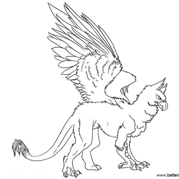 Gryphon Coloring Pages Griffin Hand Drawing by Keitana - Free Printable ...