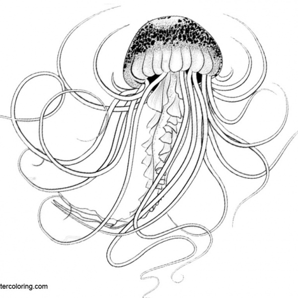 Cartoon Jellyfish Coloring Pages Clip Art - Free Printable Coloring Pages