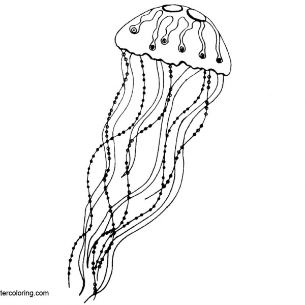 Jellyfish Coloring Pages - Free Printable Coloring Pages