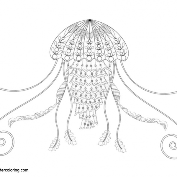 Zentangle Jellyfish Coloring Page Adult Sketch Coloring Page