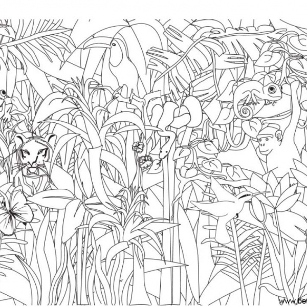 Jungle Coloring Pages Connect the Dots by Number - Free Printable ...