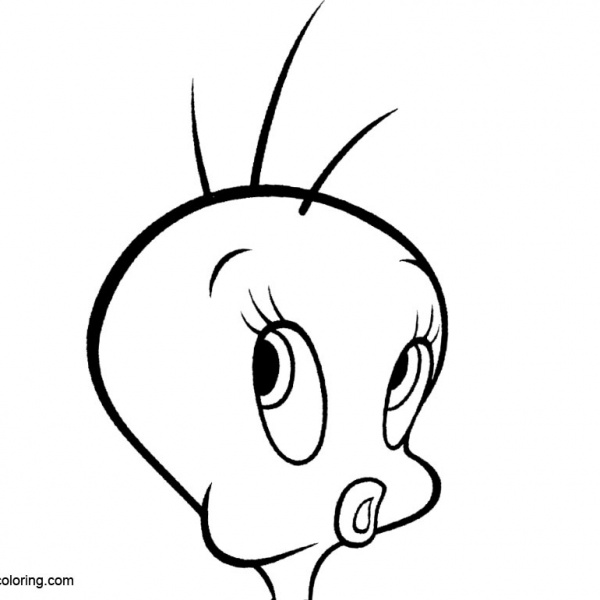 Tweety Bird Coloring Pages - Free Printable Coloring Pages