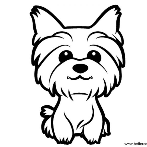 Yorkie Coloring Pages - Free Printable Coloring Pages