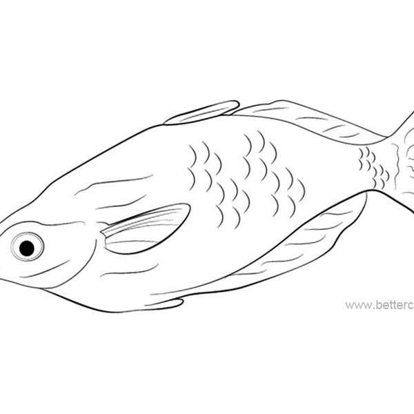 Rainbow Fish Coloring Pages Color by Numbers - Free Printable Coloring ...