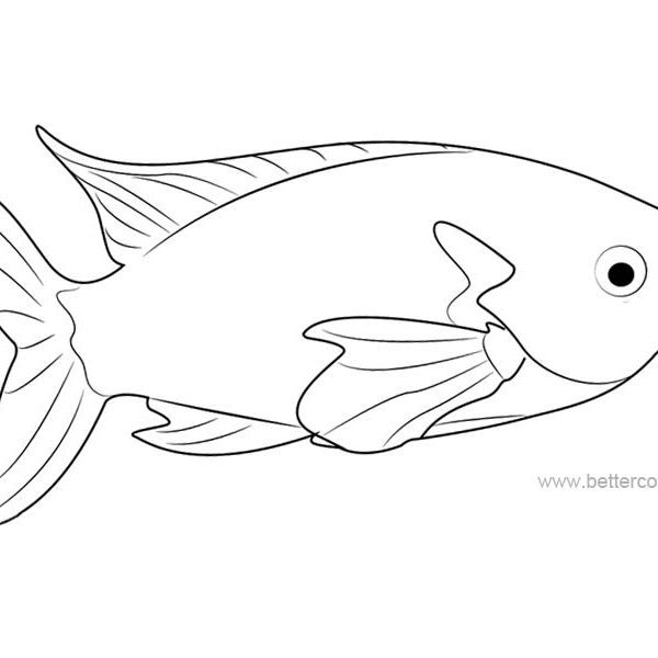 Rainbow Fish Coloring Pages Color by Numbers - Free Printable Coloring ...