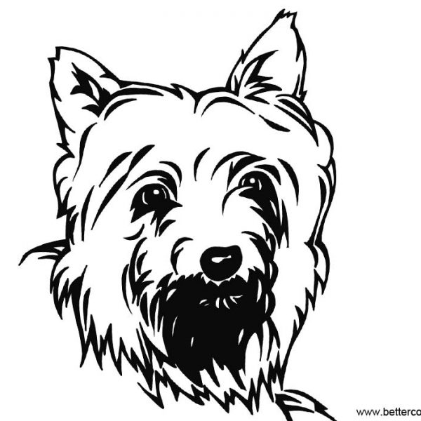 Cute Yorkie Coloring Pages - Free Printable Coloring Pages