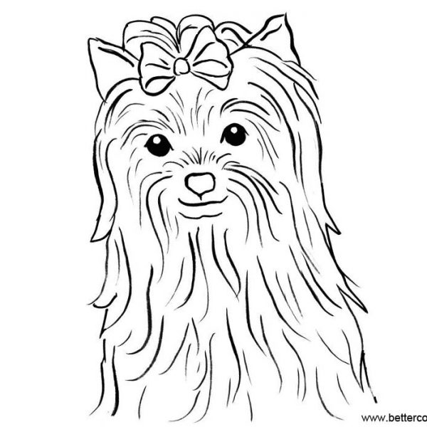 Cute Yorkie Coloring Pages - Free Printable Coloring Pages
