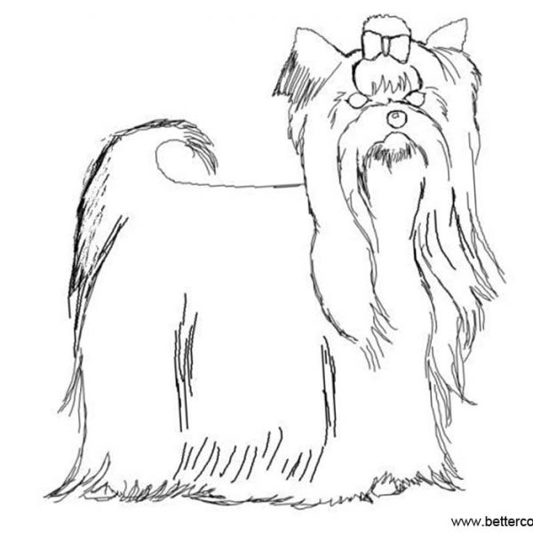Cute Yorkie Coloring Pages - Free Printable Coloring Pages