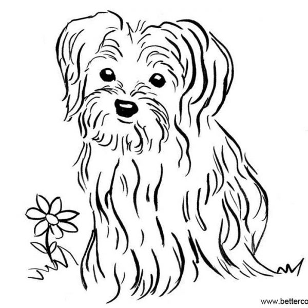 Cute Yorkie Coloring Pages - Free Printable Coloring Pages