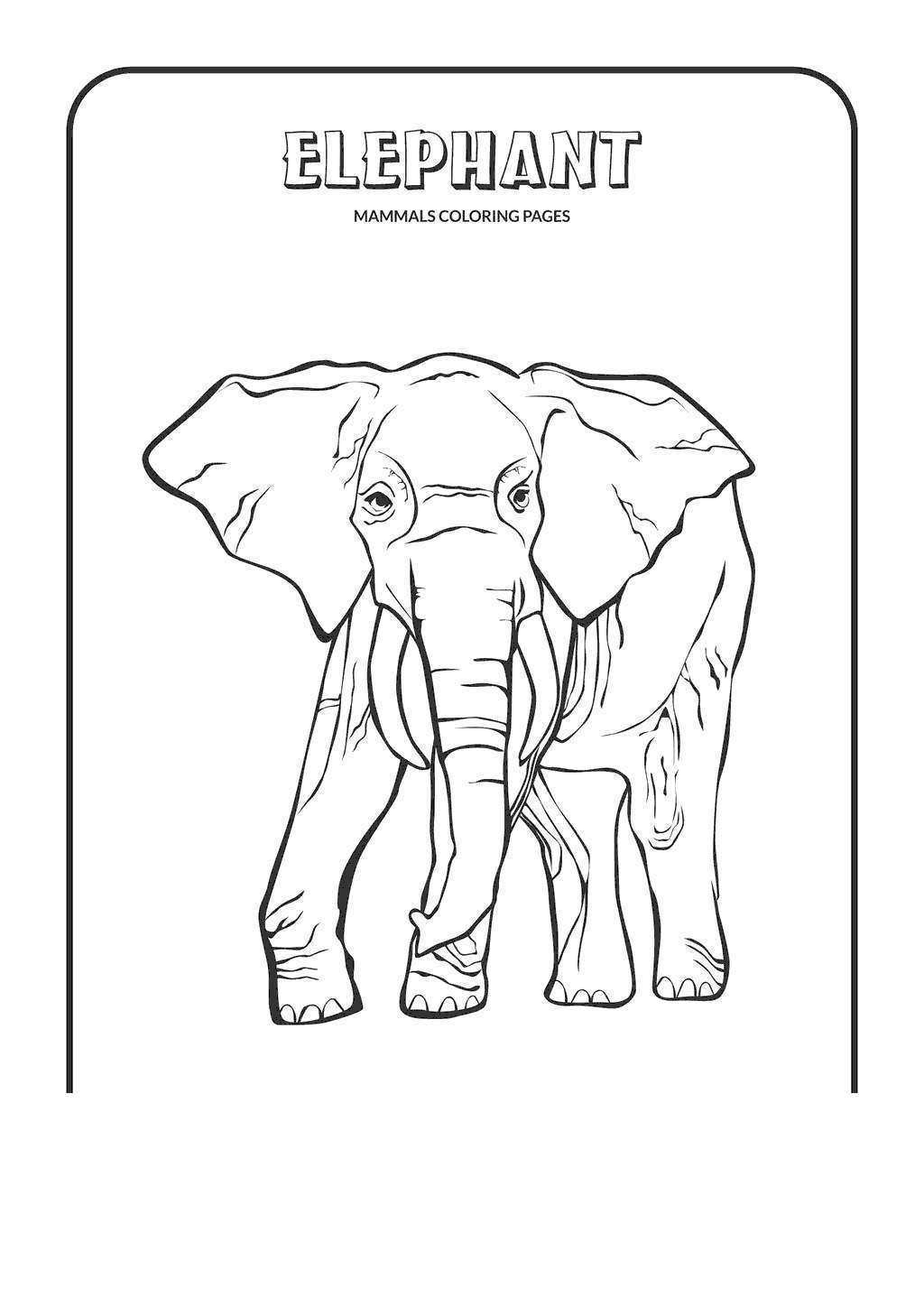 Coho Salmon Coloring Pages