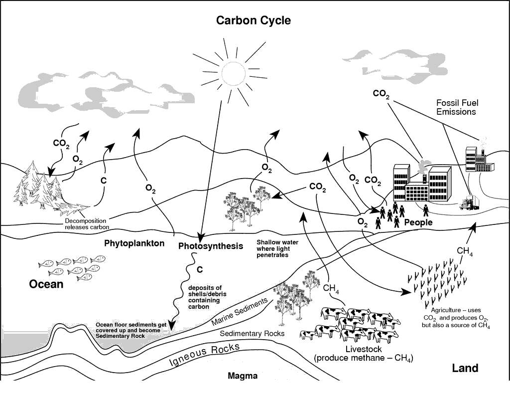 Fossil Fuels Coloring Sheet Coloring Pages