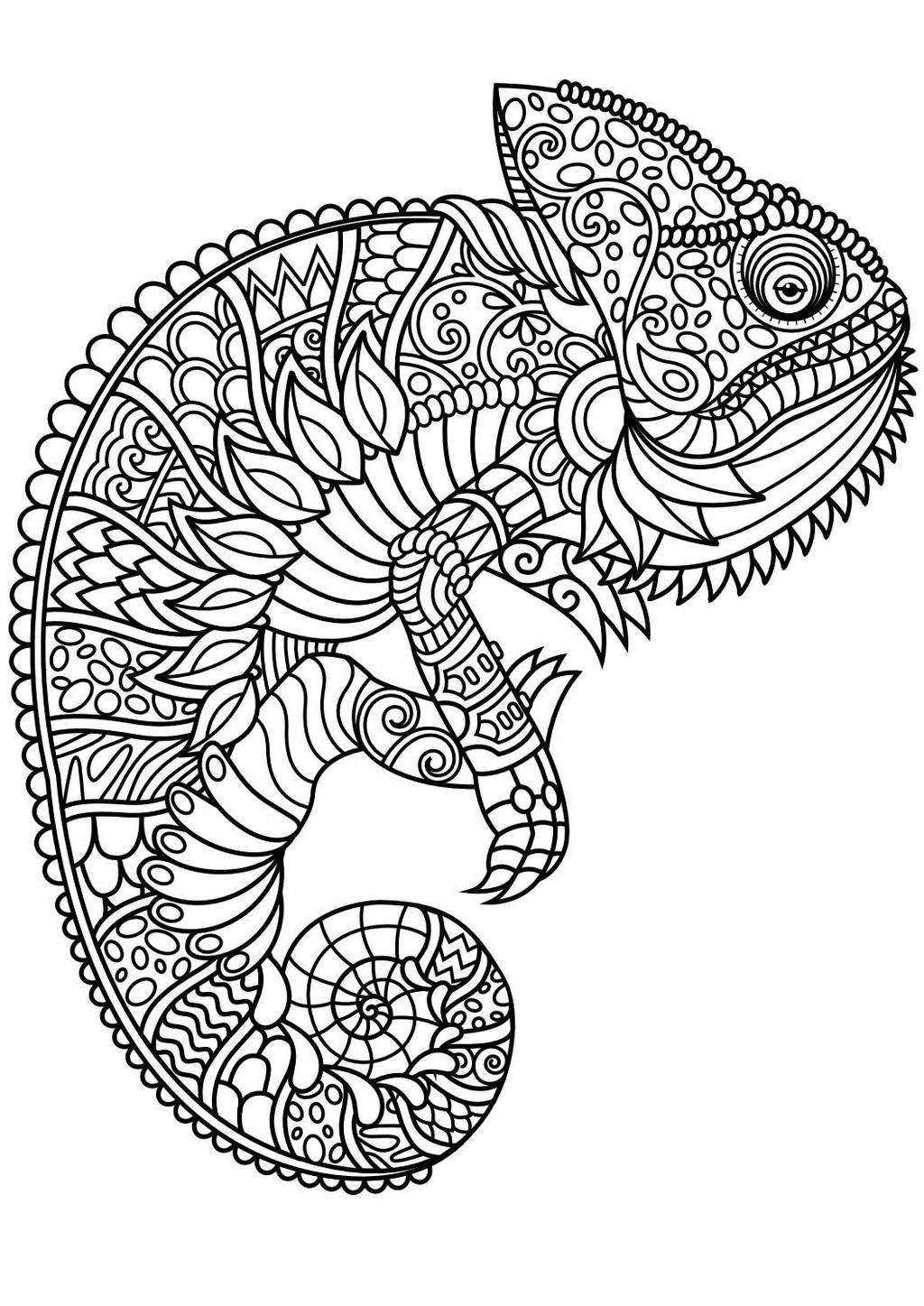 Lizard Mindfulness Coloring Pages Free Printable Coloring Pages Lizard Mindfulness Coloring Pages Free Printable Coloring Pages